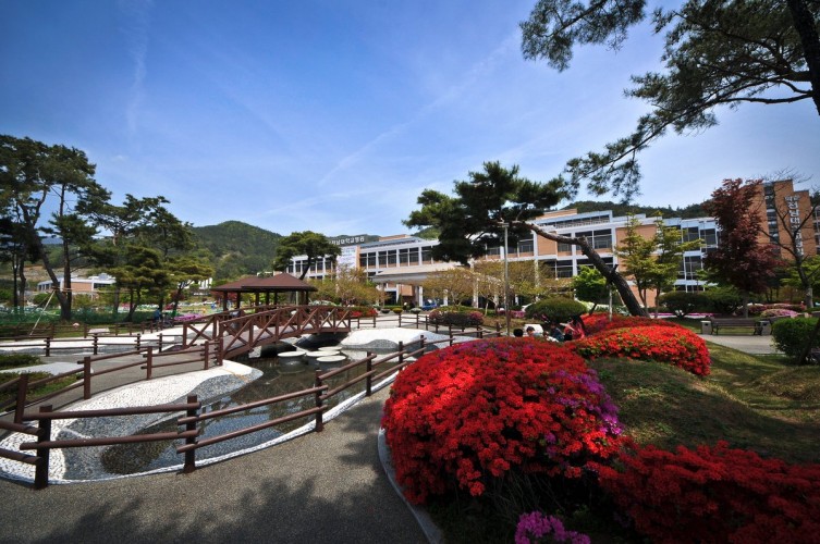 CNU Hwasun Hospital - Medical Center in Bundang | MyMediTravel